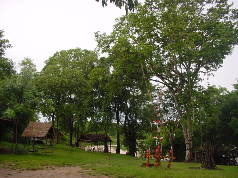 Hoi An/Da Nang: Hue Day Trip via Hai Van Pass - The Practical Side: Transport, Guides, and Value