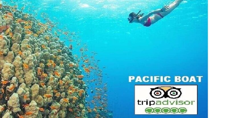 Hoi An/Da Nang: Snorkeling and Island Hopping Speedboat Tour - The Itinerary: A Well-Structured Balance