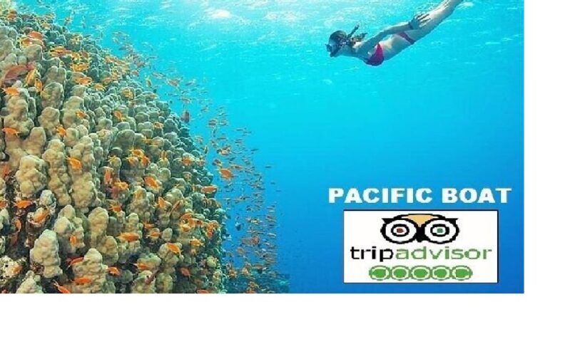 Hoi An/Da Nang: Snorkelling & Island-Hopping Speedboat Tour - Weather and Booking Considerations