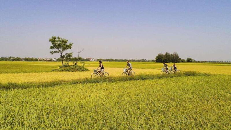 Hoi An : Eco Bicycle Tour with Fishing and Lunch/Dinner - Cycling Through the Countryside