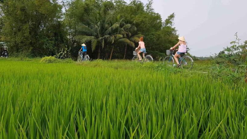 Hoi An : Eco Bicycle Tour with Fishing and Lunch/Dinner - Bamboo Basket Boat Adventure