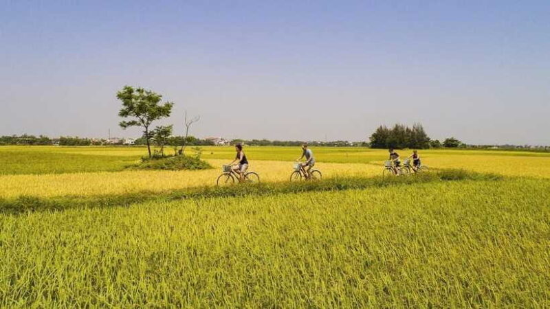 Hoi An : Eco Bicycle Tour with Fishing and Lunch/Dinner - Learning Traditional Fishing and Farming Skills