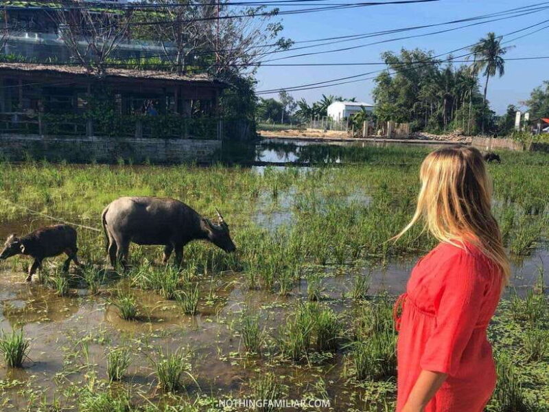 Hoi An : Eco Bicycle Tour with Fishing and Lunch/Dinner - FAQ: Your Questions Answered