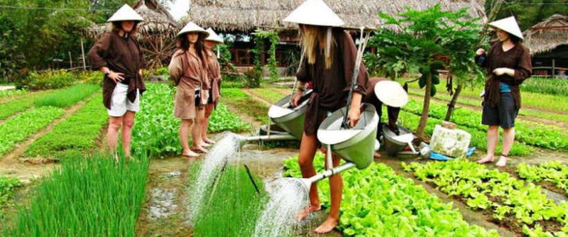 Hoi An Eco Tour : Bike, Farm and Lantern Making Experience - Key Points