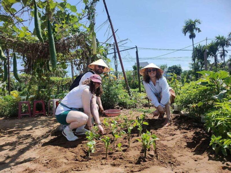Hoi An Eco Tour : Bike, Farm and Lantern Making Experience - What’s Included and What to Expect