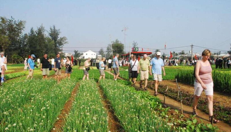 Hoi An Eco Tour : Bike, Farm and Lantern Making Experience - The Value of This Tour