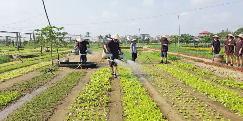 Hoi An: Evening Cooking Class with Locals in Herbs Village - The Sum Up