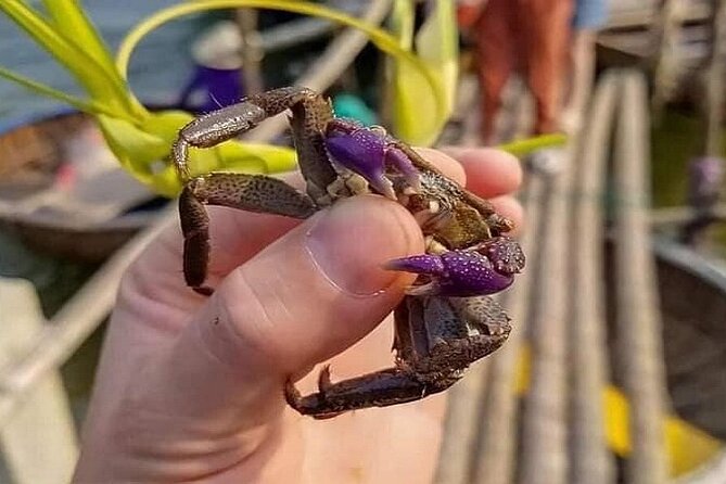 Hoi An Fishing Tour Private-Lantern /Cafe Making Class by Lunch - A Comprehensive Look at the Hoi An Fishing and Cultural Tour