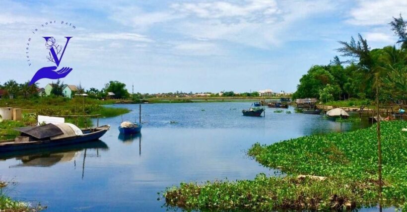 Hoi An Food Tour - Street Eats And Hoi An Hidden Gems - Who Will Love This Tour?