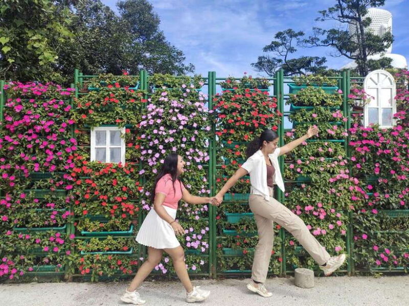 Hoi An: Full-day Ba Na Hills & Amazing Golden Bridge - Key Points