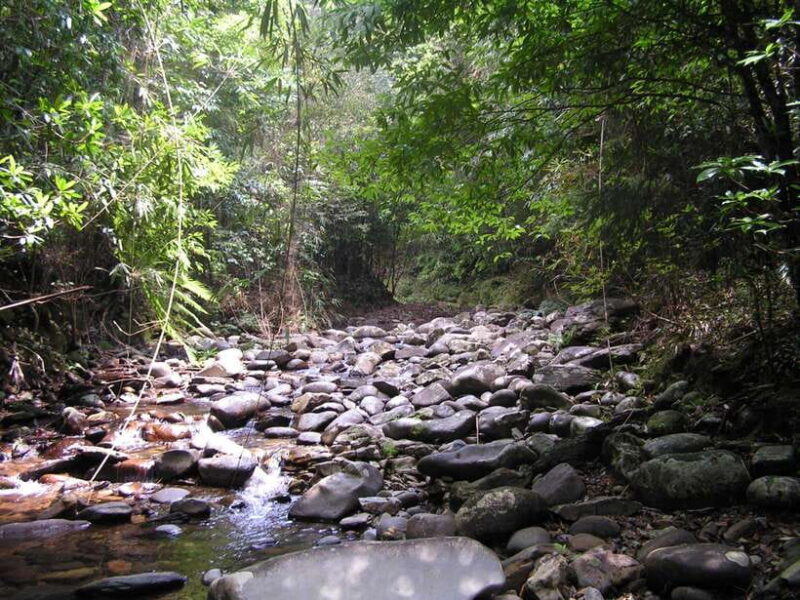 Hoi An: Full-day Bach Ma National Park Trek & Beach Retreat - What Past Participants Say