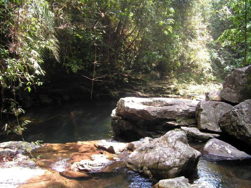 Hoi An: Full-day Bach Ma National Park Trek & Beach Retreat - FAQ