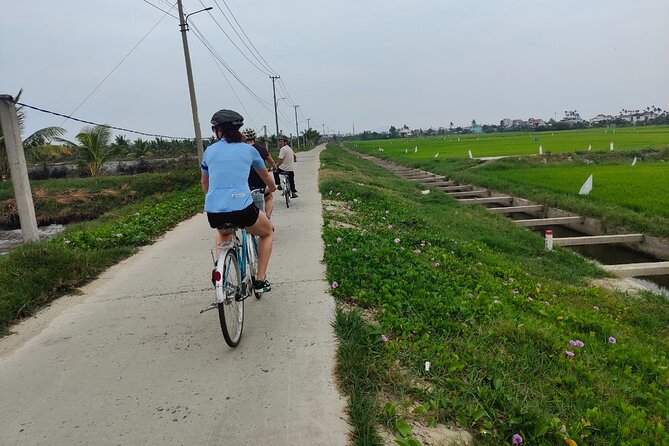 Hoi An Half-Day Bicycle Tour: Visit Herb Village, Row Basket Boat - Introduction