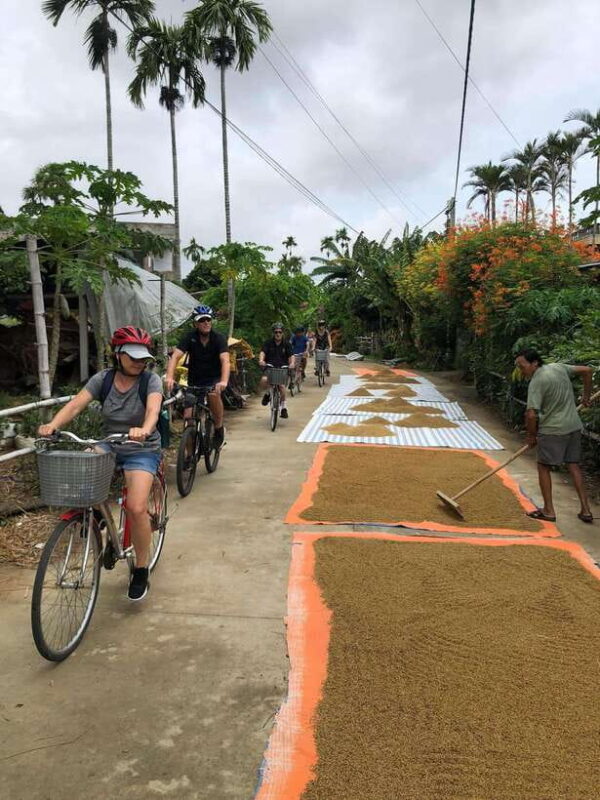 Hoi An: Half-Day Bike Tour with Local Guide - Detailed Breakdown of the Itinerary