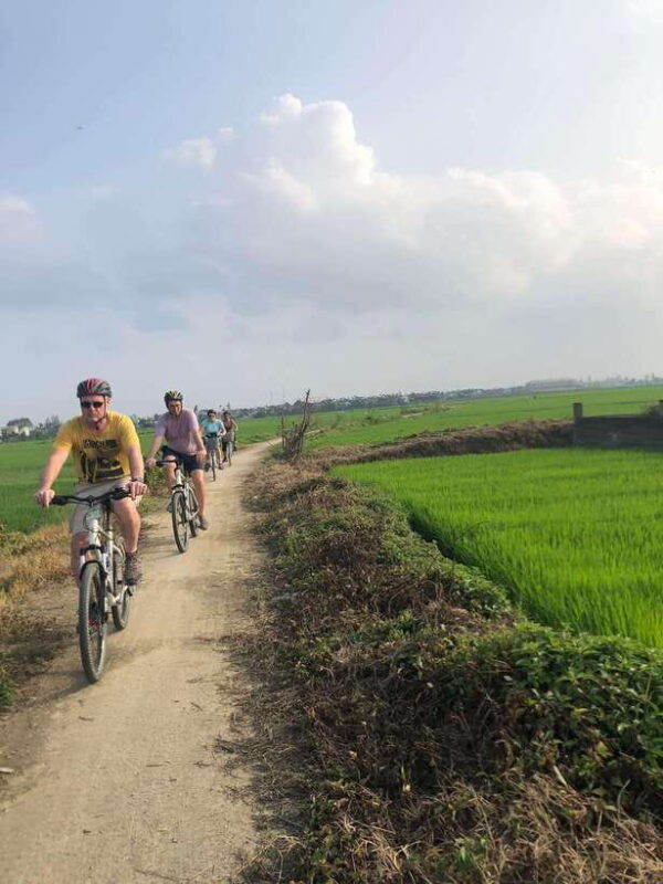 Hoi An: Half-Day Bike Tour with Local Guide - What’s Included and What’s Not