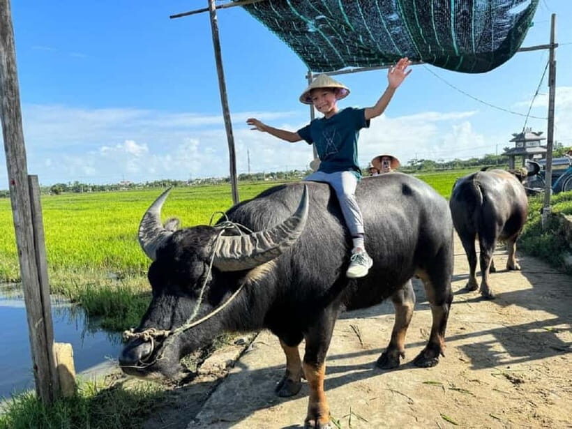 Hoi An : Half day Biking, Buffalo riding and Basket boat - Key Points