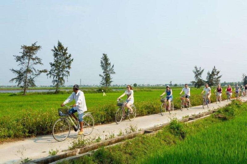 Hoi An : Half day Biking, Buffalo riding and Basket boat - Why This Tour Is a Great Choice
