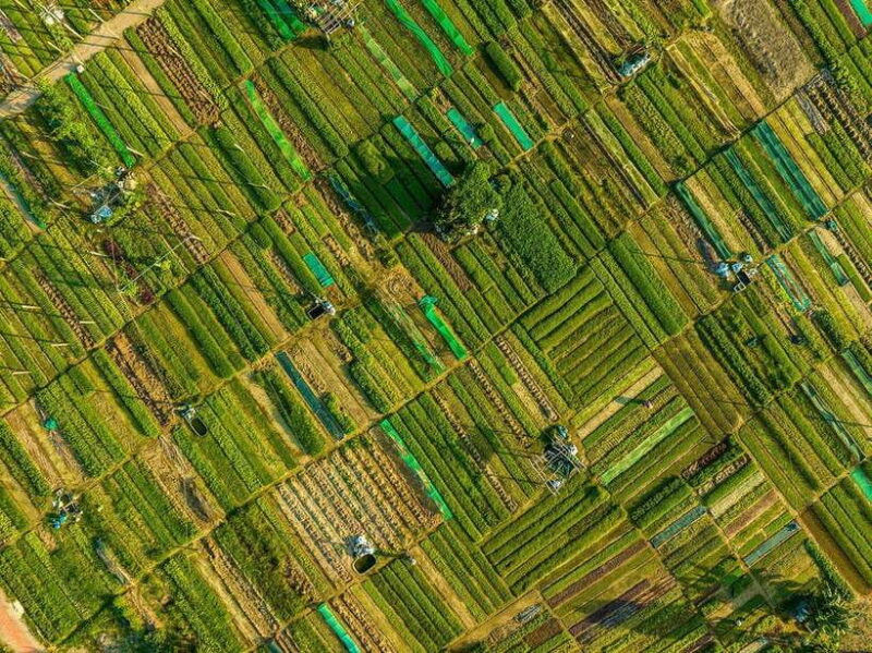 Hoi An: Half-day Biking Through Hoi Ans Culinary Delights - Authentic Experiences That Stick with You