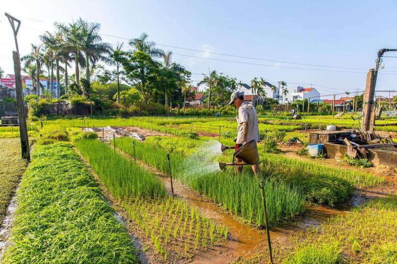 Hoi An: Half-day Biking Through Hoi Ans Culinary Delights - The Sum Up
