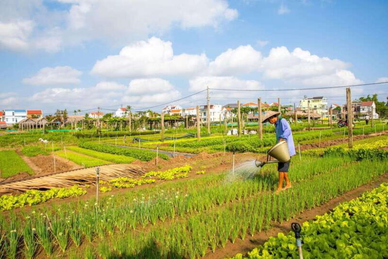 Hoi An: Half-day Farm To Table Adventure In Tra Que Village - FAQ