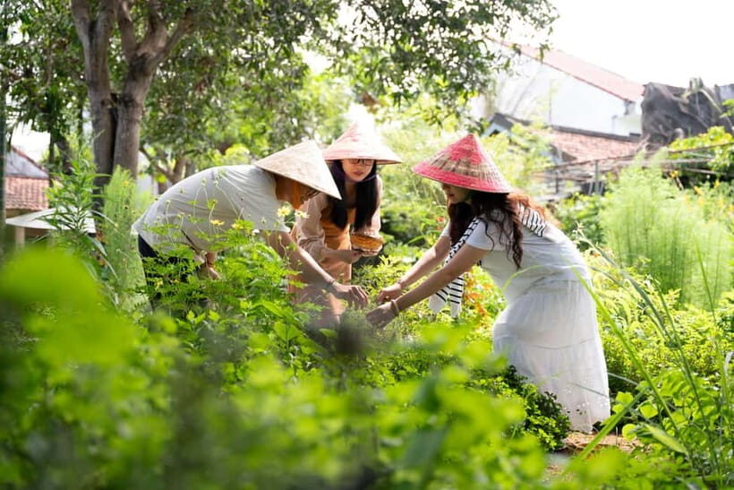 Hoi An Hidden Gem: Vietnamese Coffee Making x Local Herbal - The Practical Details