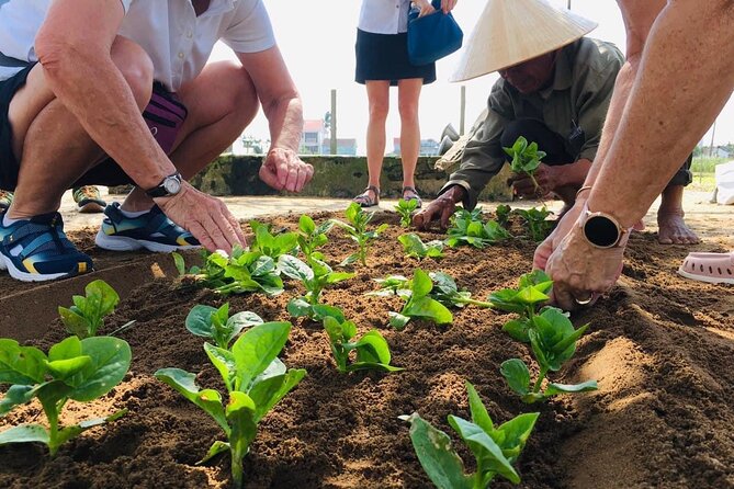 Hoi An Local Market and Vegetable Village Cooking Class - Final Thoughts