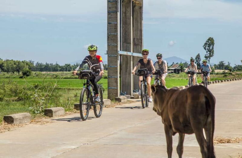 Hoi An: Morning Countryside Tour by Bike - Detailed Itinerary Breakdown