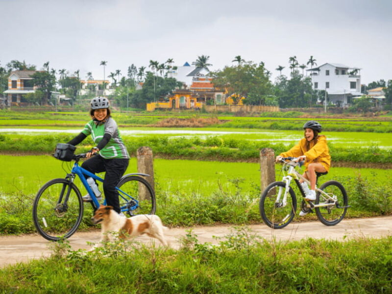 Hoi An: Morning Countryside Tour by Bike - The Quality of the Experience