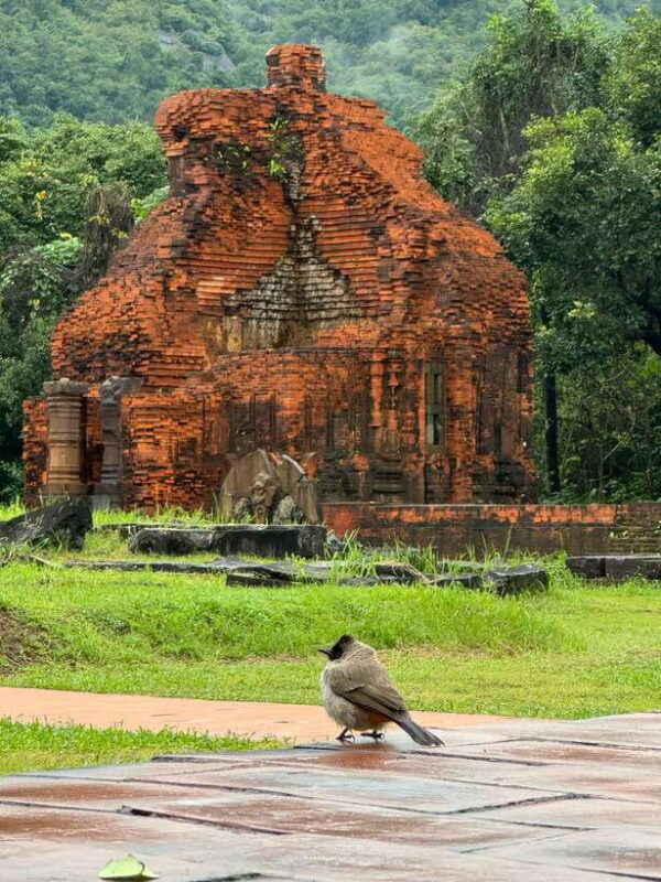 Hoi An: My Son Sanctuary Private Tour with Local Guide - Key Points