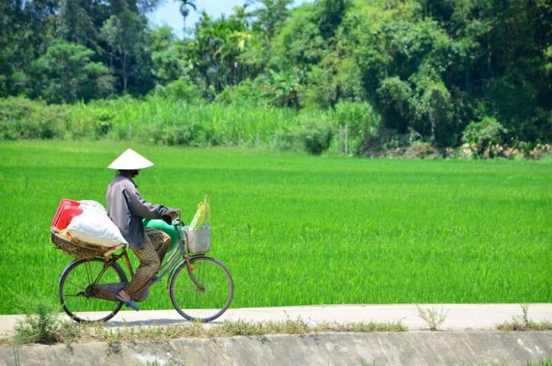 Hoi An: Private Cycling to My Son Sanctuary with Local Guide - Hoi An: Private Cycling to My Son Sanctuary with Local Guide — A Detailed Review