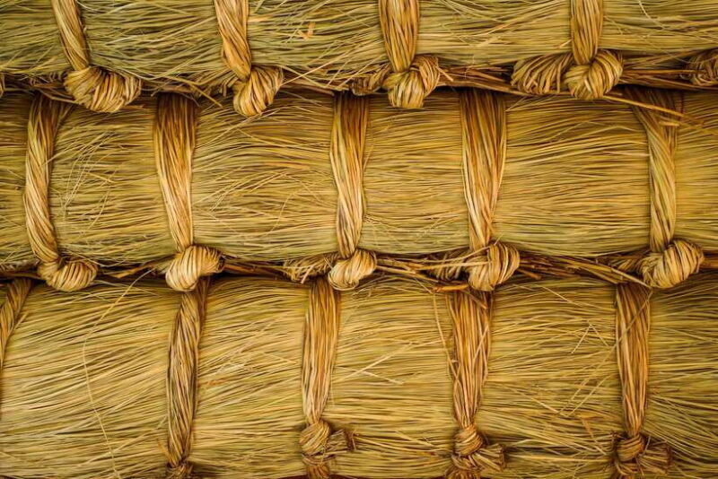 Hoi An: Private Cycling to My Son Sanctuary with Local Guide - Who Will Enjoy This Tour?