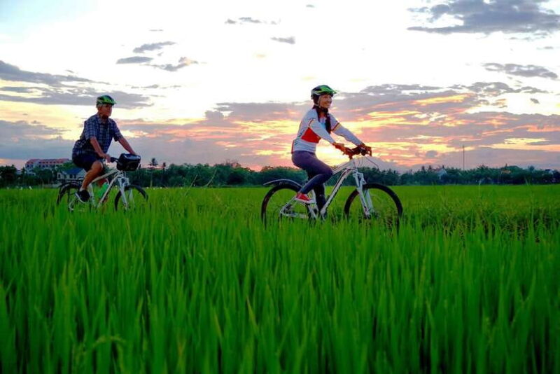 Hoi An: Private Evening Food Tour by Bike - What Makes This Tour Stand Out?