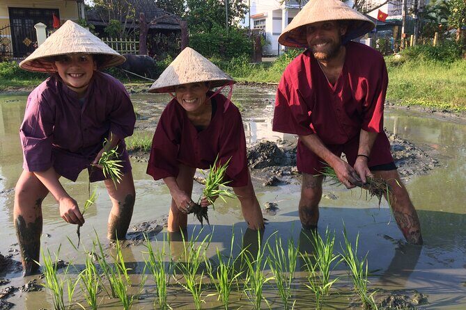 Hoi An Rice Farm Tour and Buffalo Riding with Local Home Meal - FAQ