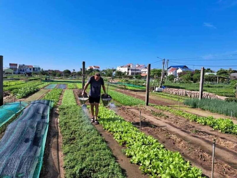 Hoi An: Rural Bike Tour and Traditional Villages - Key Points