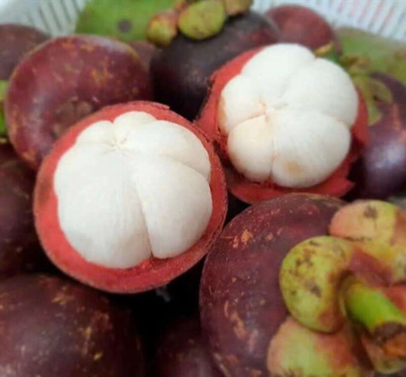 Hoi An seafood, tropical fruits tasting and making lantern. - FAQs