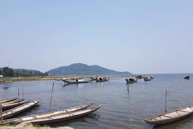 Hoi An to Hai Van Pass and back to Hoi An with Mr.T Easy Rider (One Day) - A Comprehensive Look at the Tour Experience