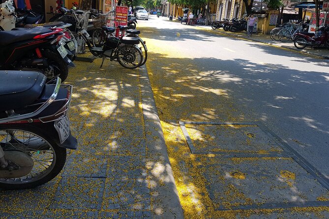 Hoi An town private walking tour with boat trip - Value for Money and Logistics