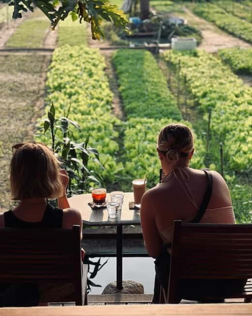 Hoi An: Trà Qu Village Cafe Tour with Local Guided - The Practicalities: What You Need to Know