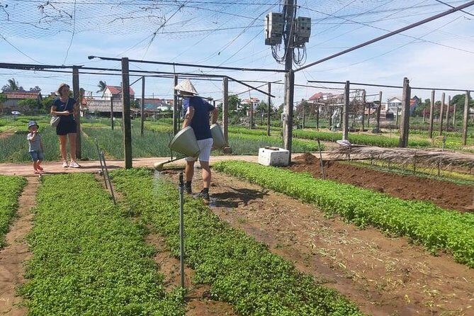 Hoi an Tra Que vegetable village & cooking class - Key Points