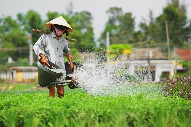 Hoi an Tra Que vegetable village & cooking class - The Experience Through Different Perspectives