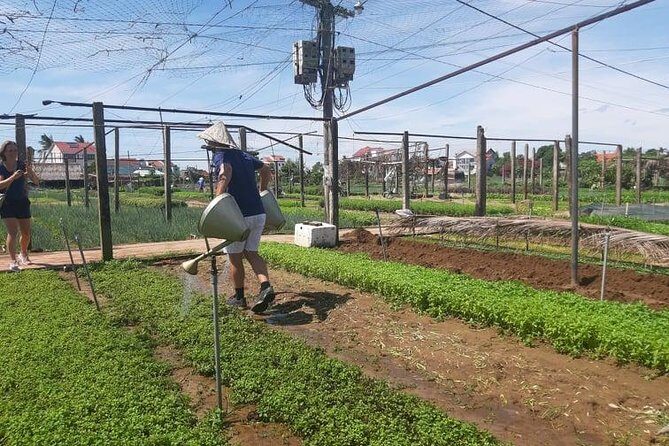 Hoi an Tra Que vegetable village & cooking class - Who Should Consider This Tour?
