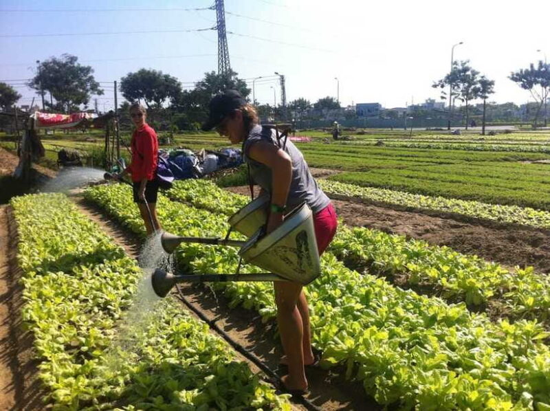 Hoi An: Tra Que Village Tour & Lantern Making Class - Authentic Experiences That Stand Out