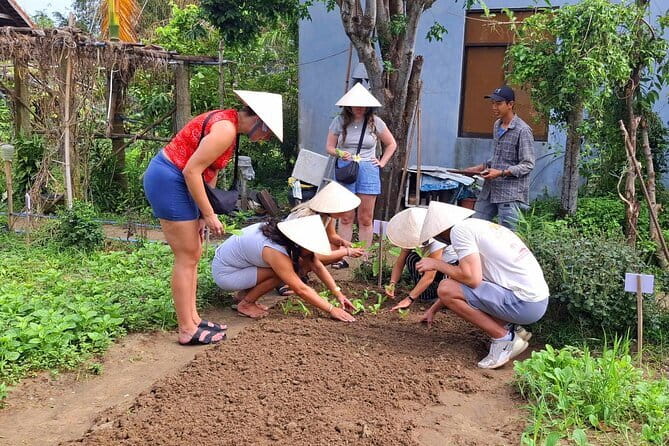Hoi An Vespa Tour: Hoi An Rural Life & Cooking Class - The Value of the Experience