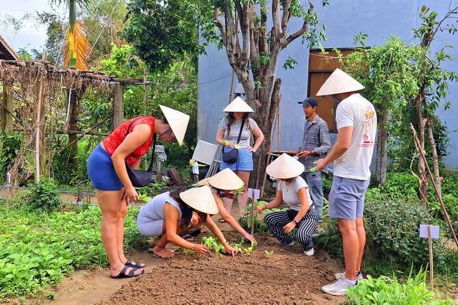 Hoi An Vespa Tour: Hoi An Rural Life & Cooking Class - Practical Tips for Participants