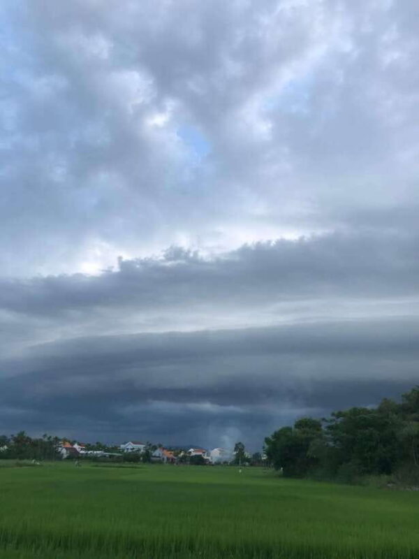 Hoi An: Village Life, Basket Boats, and Sunset Serenity - Authentic Experiences Beyond the Tourist Trail