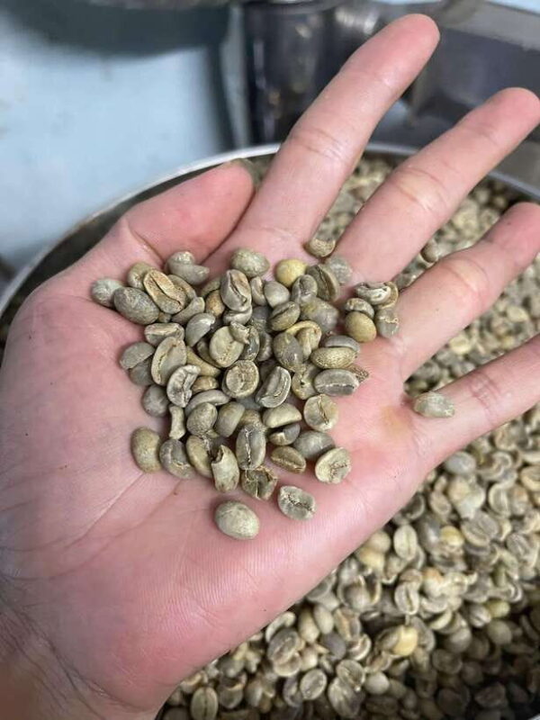 Hoi An:Coffee Making Class (Coffee: egg, Salt, Coconut, ...) - Exploring Hoi An’s Coffee Culture: A Hands-On Making Class