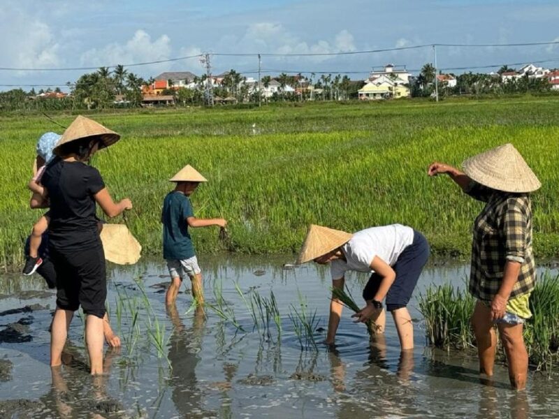 Hoi An:Cycling,Traditional Farming & Fishing Life Experience - The Experience for Different Travelers