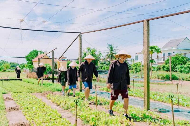Hoi An:Farming and Cooking Class in Tra Que Herb Village - The Vietnamese Cooking Class