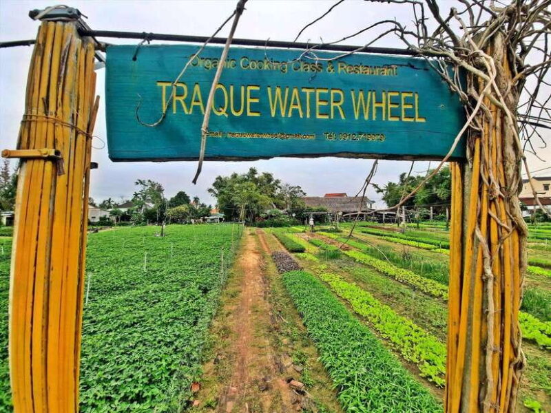Hoi An:Farming and Cooking Class in Tra Que Herb Village - Final Thoughts: Who Will Love This Tour?