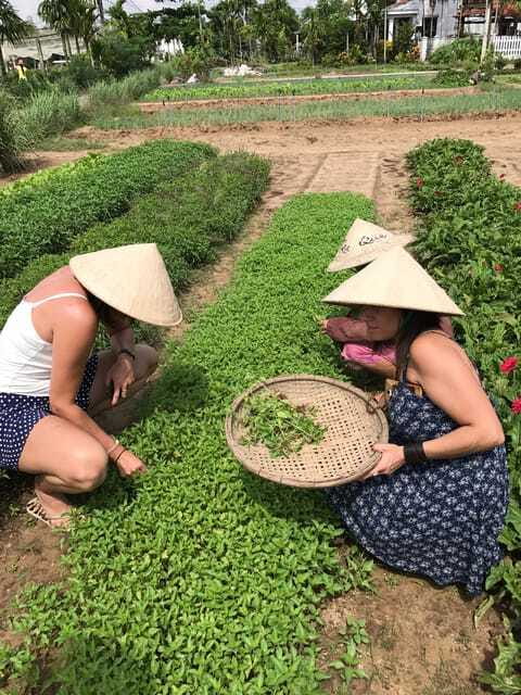 Hoian/Da Nang: Fishing, basket riding and cooking class - Final Thoughts